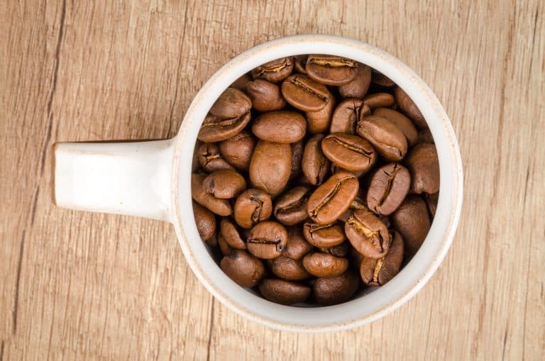 The Best Coffees for French Press Brewing [2026 Guide] | Creators Of Coffee