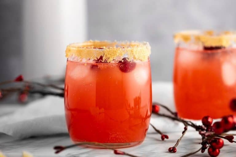 17 Delicious Christmas Mocktail Recipes For Your Festive Celebrations ...